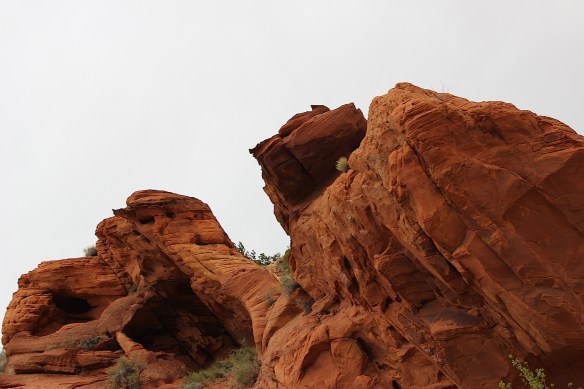A Secret Cathedral at the Grand Staircase-Escalante National Monument ...