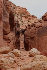 A Secret Cathedral at the Grand Staircase-Escalante National Monument ...