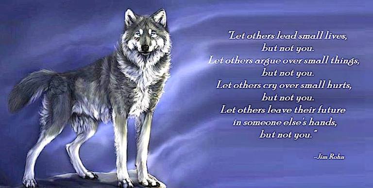 Here’s Why We Should Help Dearborn Wolf Sanctuary (Please) | Enchanted ...