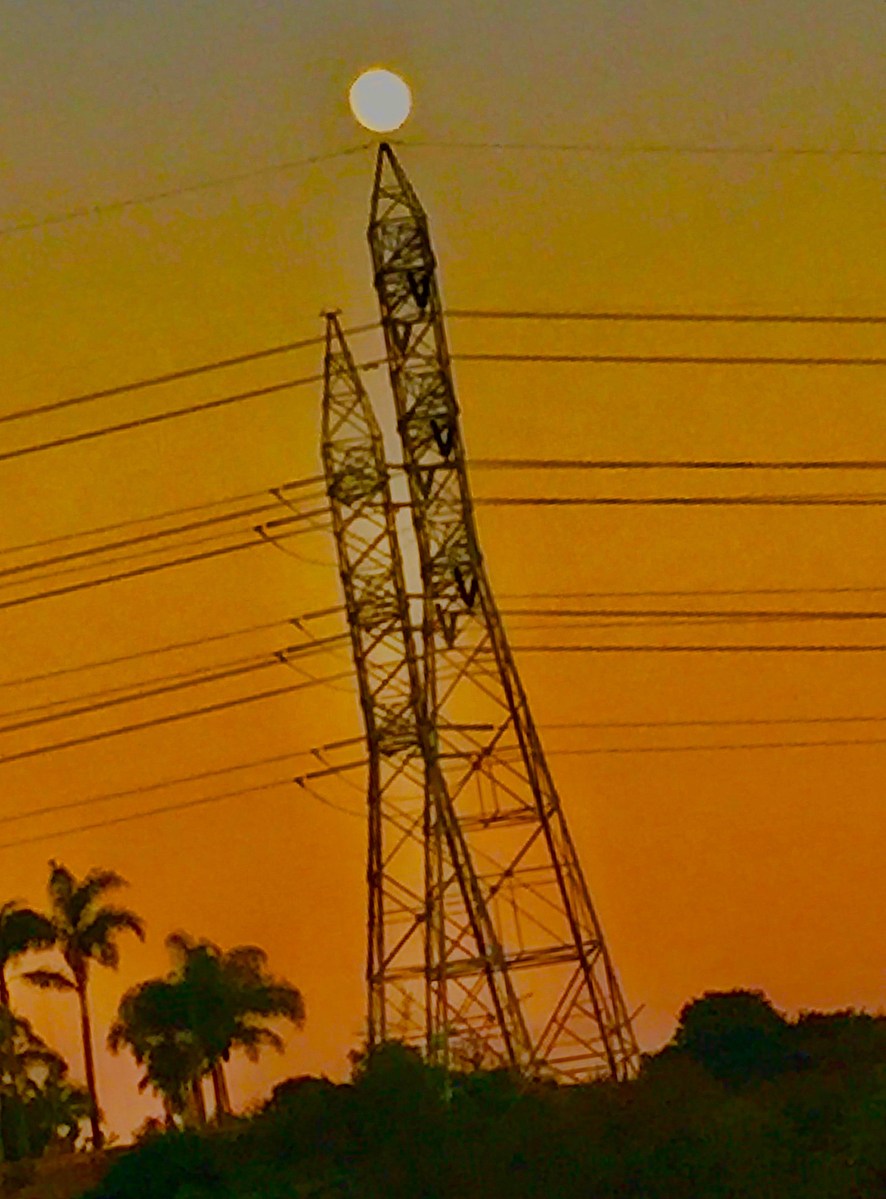 Goodnight, moon. | Enchanted Seashells by Princess Rosebud