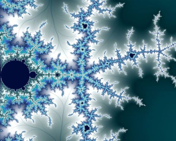 Fractals Freak Me Out | Enchanted Seashells | Princess Rosebud