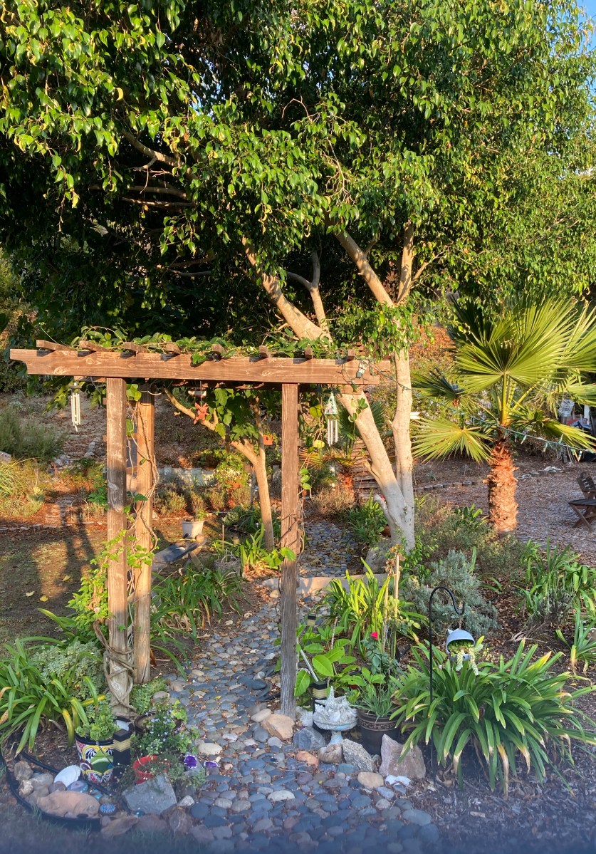 Goodbye, Tree | Enchanted Seashells by Princess Rosebud