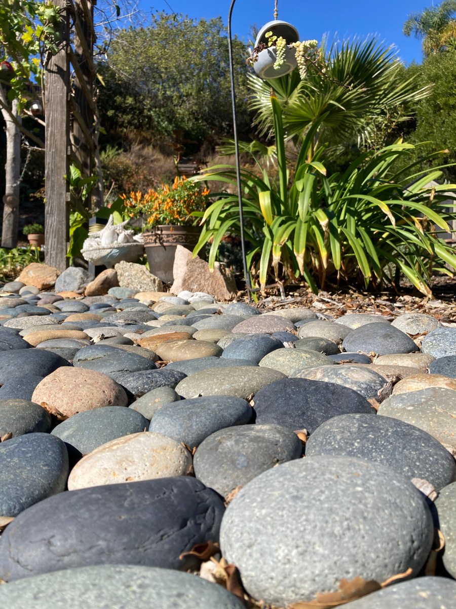 Rock Solid | Enchanted Seashells by Princess Rosebud