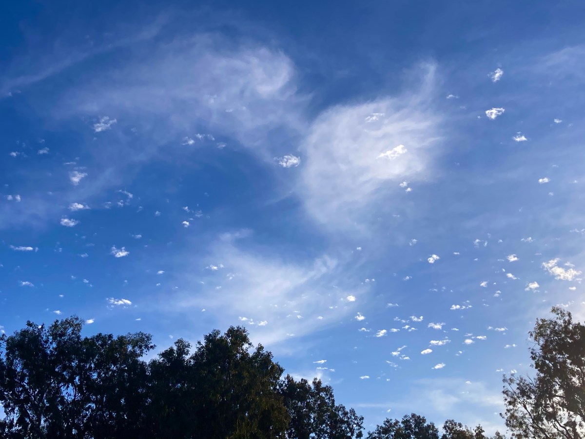 Wispy Sky Angel Wings | Enchanted Seashells by Princess Rosebud