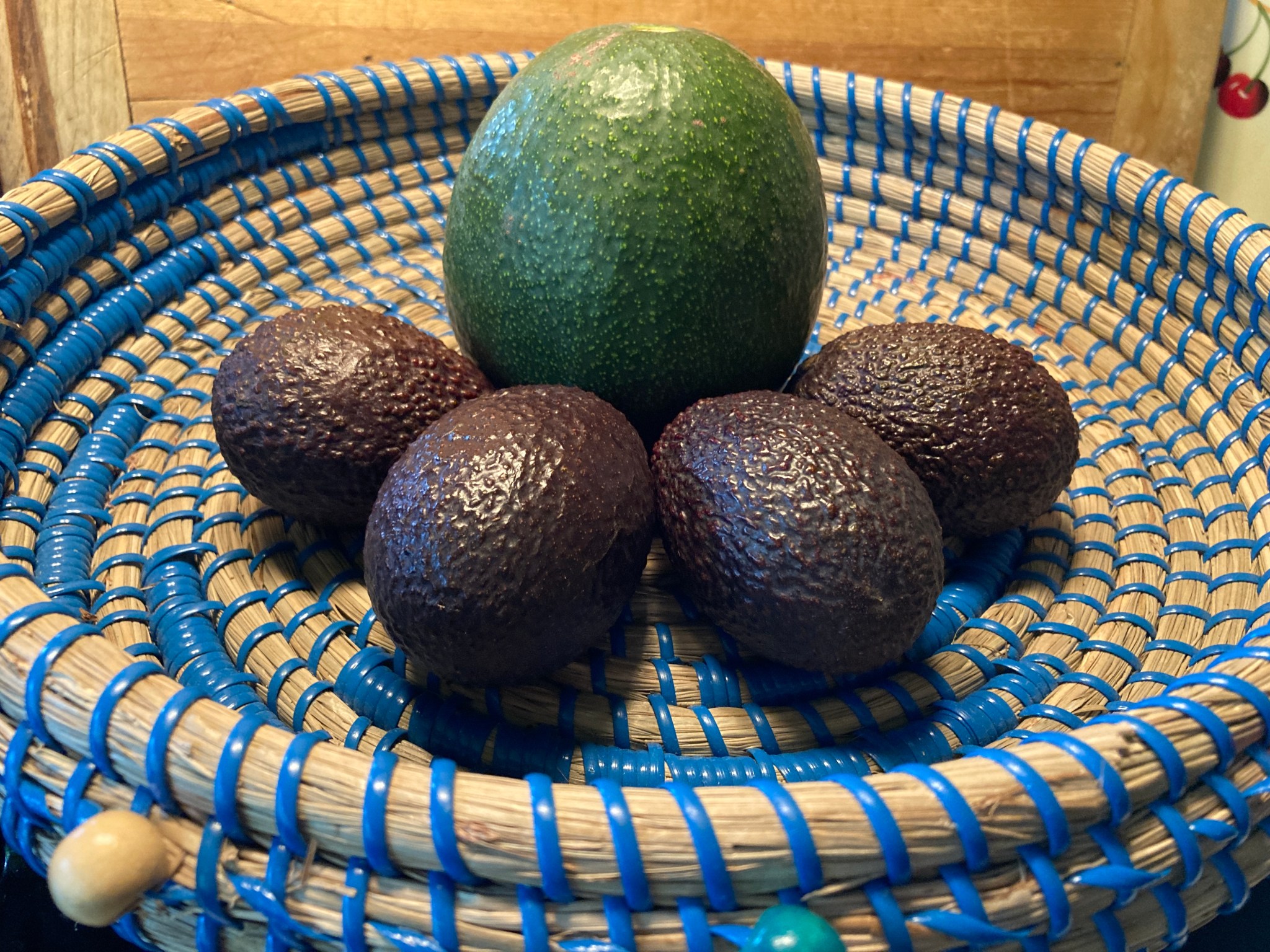 The Ultimate Avocado | Enchanted Seashells | Princess Rosebud