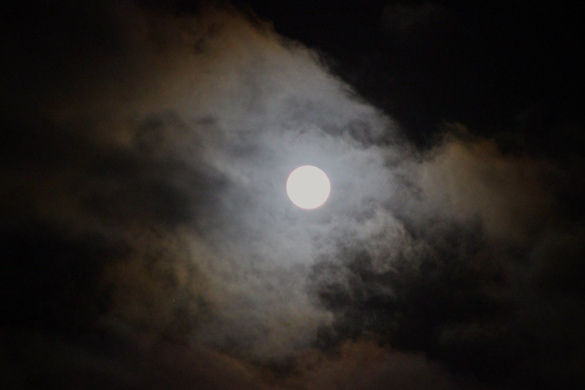 Autumnal Equinox | Fall Into Place | Enchanted Seashells by Princess ...