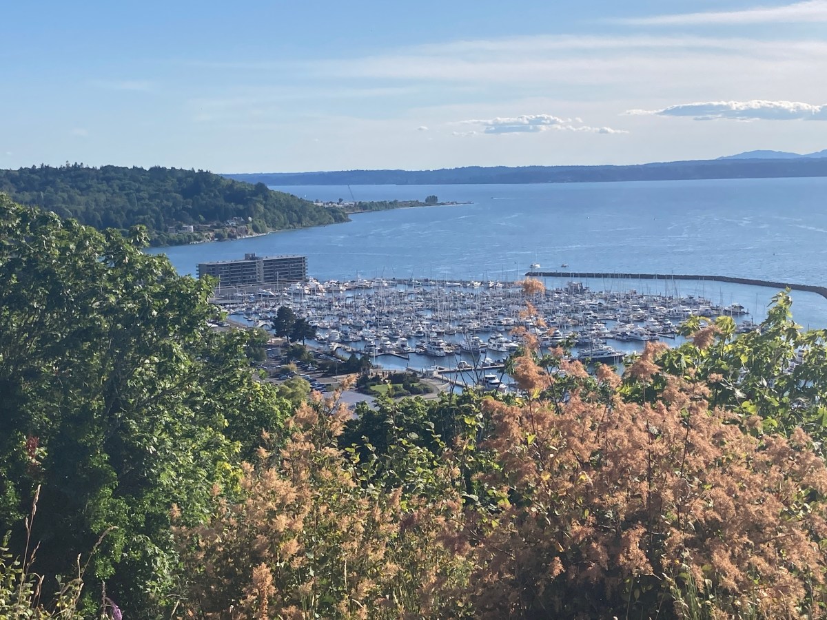 Puget Sound Photos | Enchanted Seashells by Princess Rosebud
