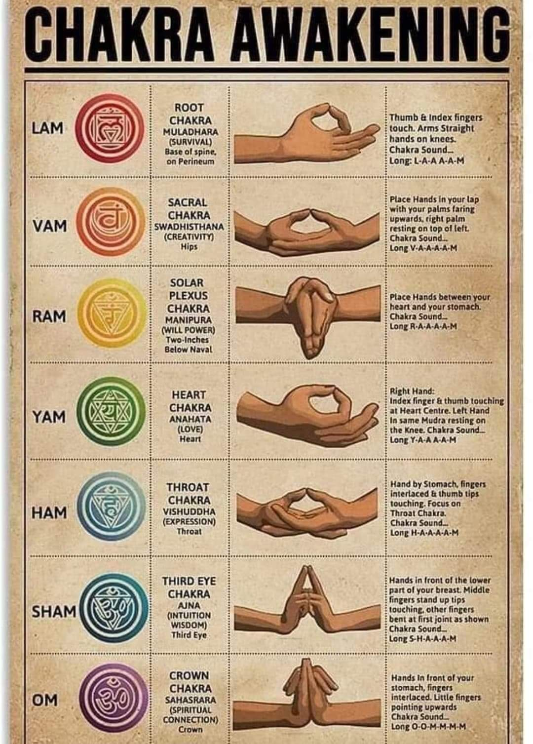 Chakra Awakening Chart | Enchanted Seashells | Princess Rosebud