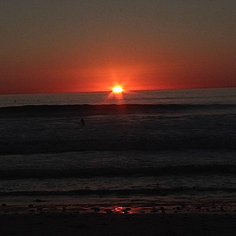 Summer Solstice 2023 | Enchanted Seashells | Princess Rosebud