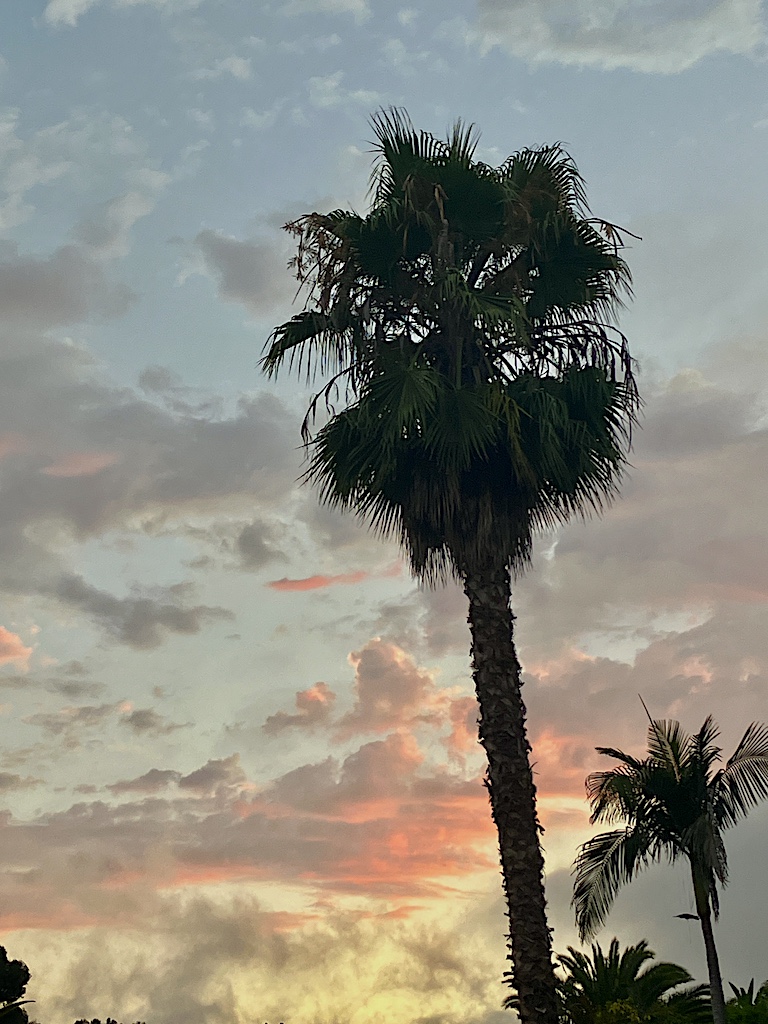 Tropical Sky Colors | Enchanted Seashells | Princess Rosebud