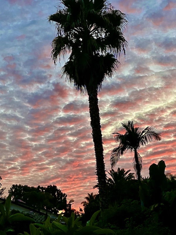 Hello Kitty Sunset 🎀 | Pink Pink Pink | Enchanted Seashells | Princess ...