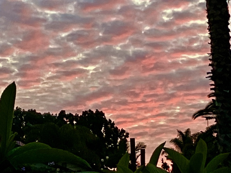 Hello Kitty Sunset 🎀 | Pink Pink Pink | Enchanted Seashells | Princess ...