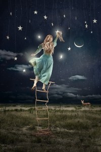 Light After Dark | Enchanted Seashells | Princess Rosebud