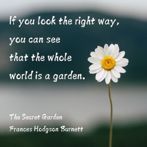 Perspective | Enchanted Seashells | Princess Rosebud