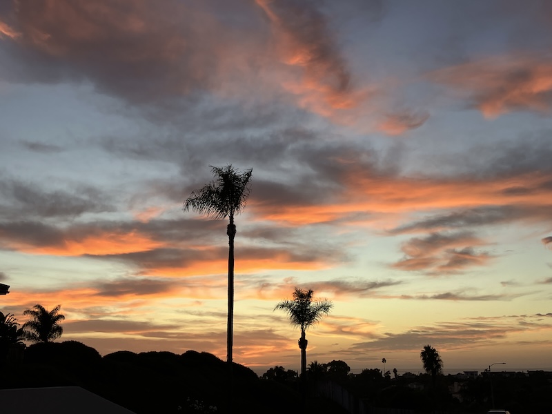 December Sunset Artistry: Opacarophile | Enchanted Seashells | Princess ...