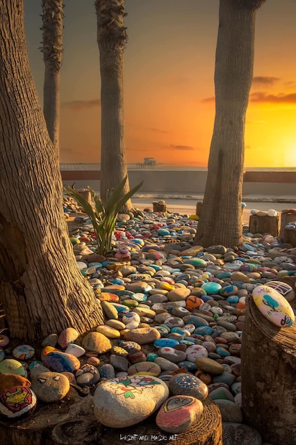 Oceanside Rock Garden | Enchanted Seashells | Princess Rosebud