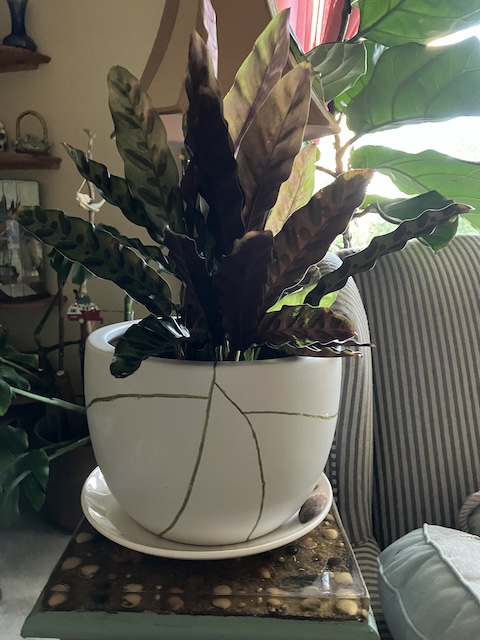 My Kintsugi DIY Project | Enchanted Seashells | Princess Rosebud