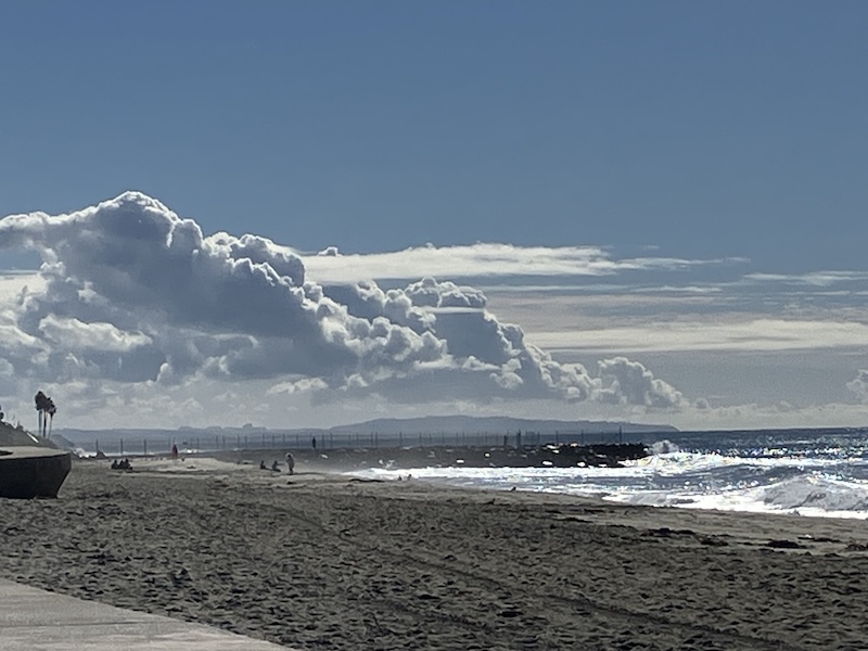 Cloud Art | Enchanted Seashells | Princess Rosebud